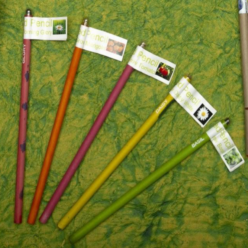Plantable Pencils (Bulk) – The Social Space Pte Ltd