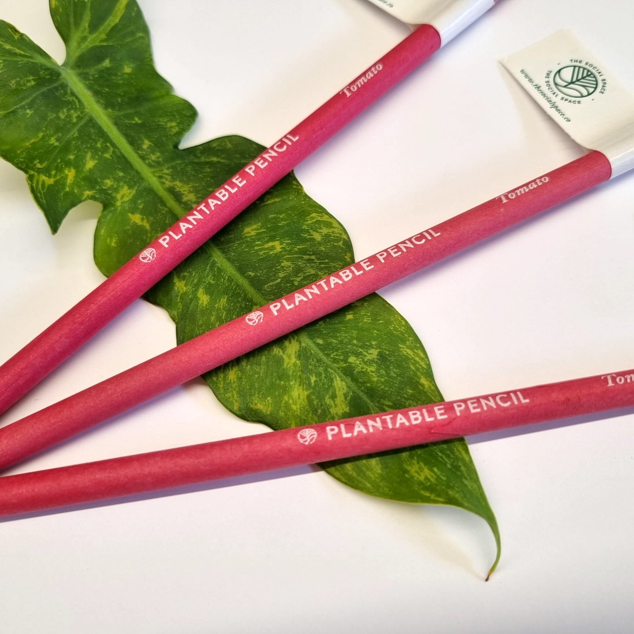 Plantable Pencils (Bundled Sets) – The Social Space Pte Ltd