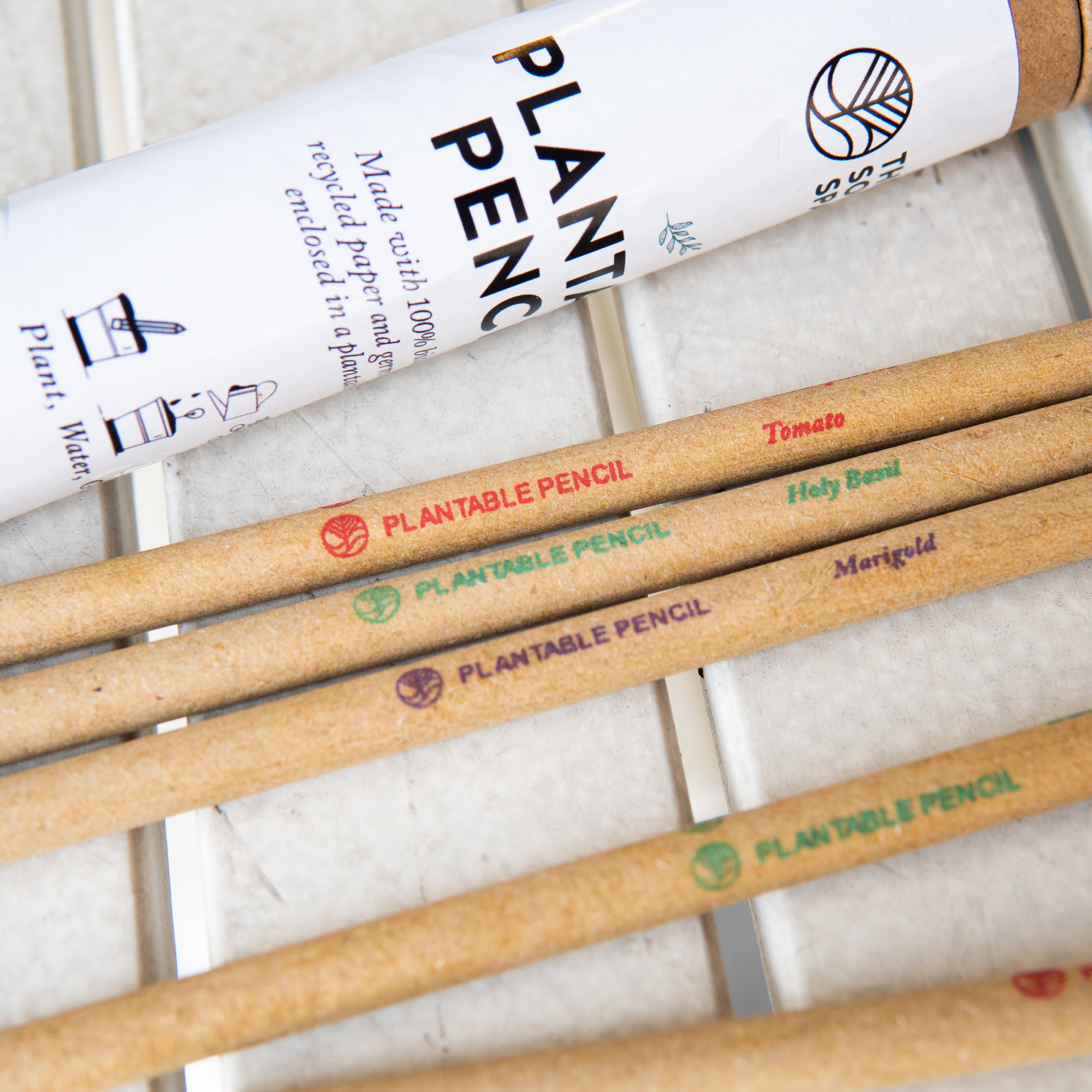 TSS Plantable Pencils (Tube of 5) – The Social Space Pte Ltd